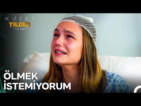 Kuzey Yıldızı İlk Aşk 44. Bölüm - Gökçe'nin Sonu Ne Olacak?