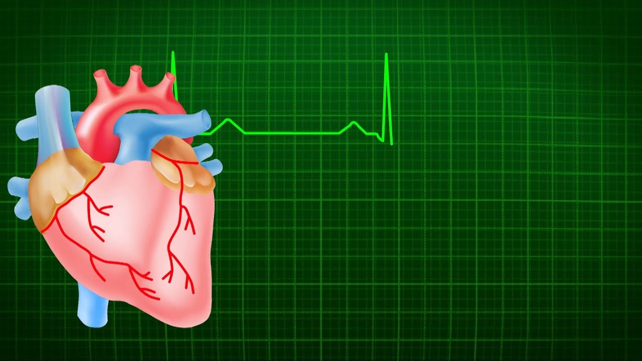 HD Video Background Heart - YouTube