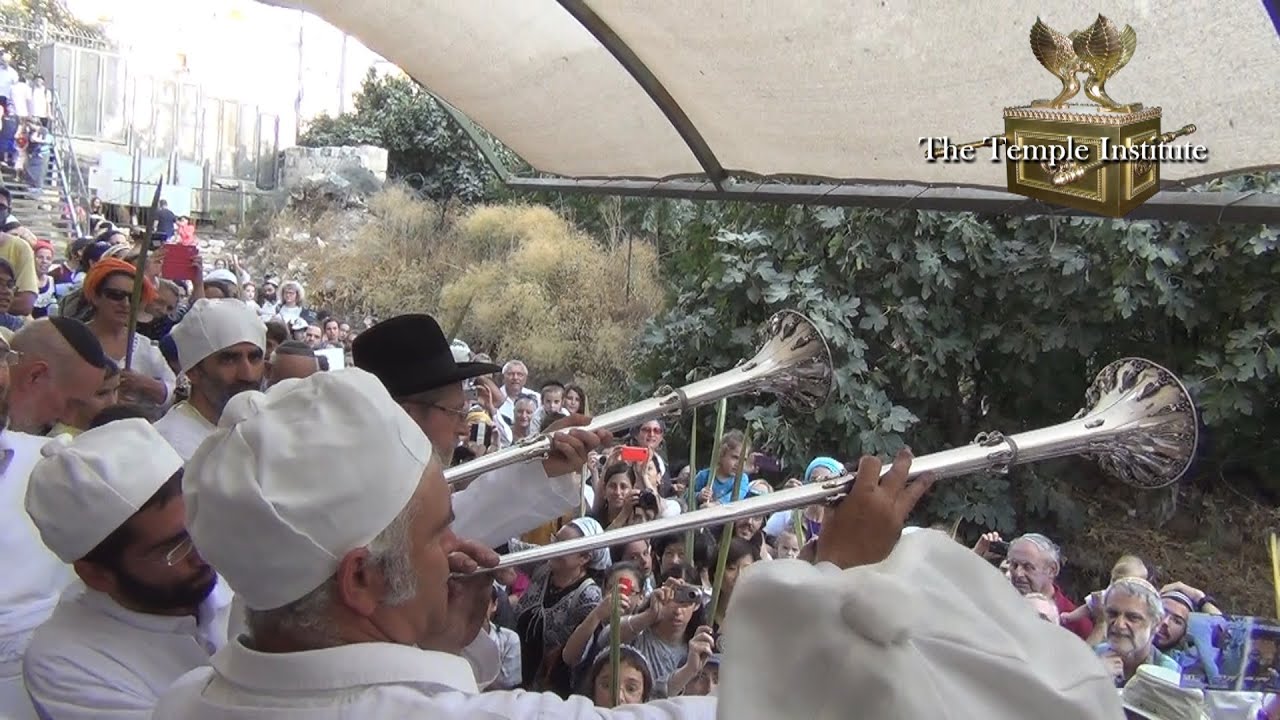 Temple Institute Inaugurates Historic Registry of Biblically Eligible ...