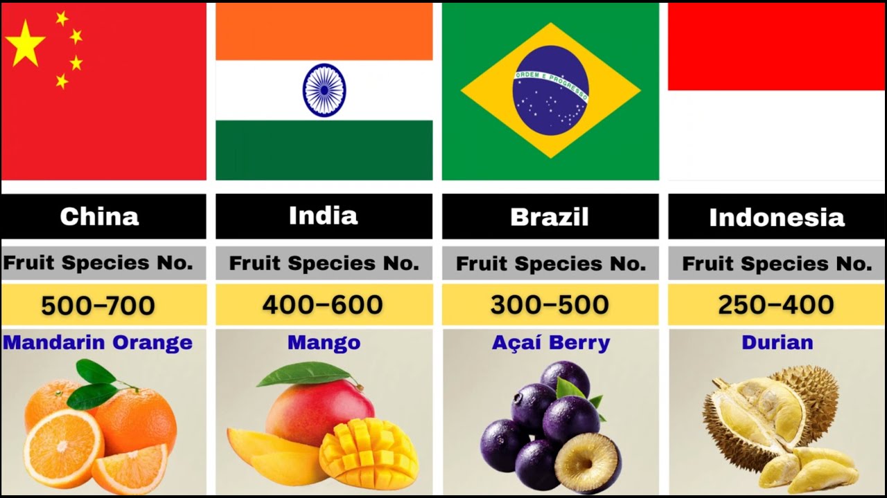 How Many Types of Fruits Are There in the World? - YouTube