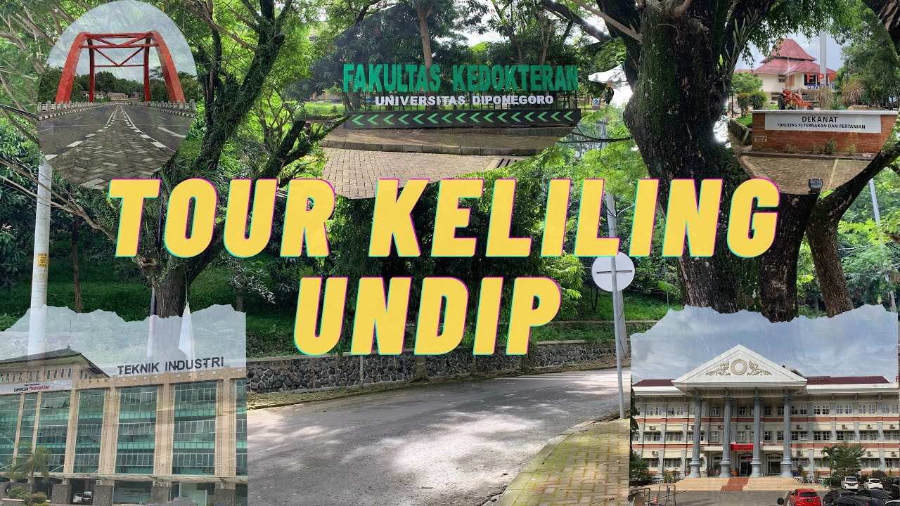 LIHAT ISI KAMPUS UNDIP TERBARU | Anak Undip Harus Nonton !! - Full ...