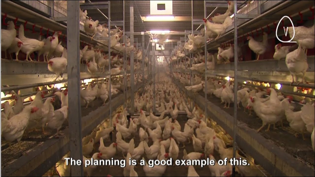 Vencomatic Group: Bolegg Terrace - Germany - YouTube