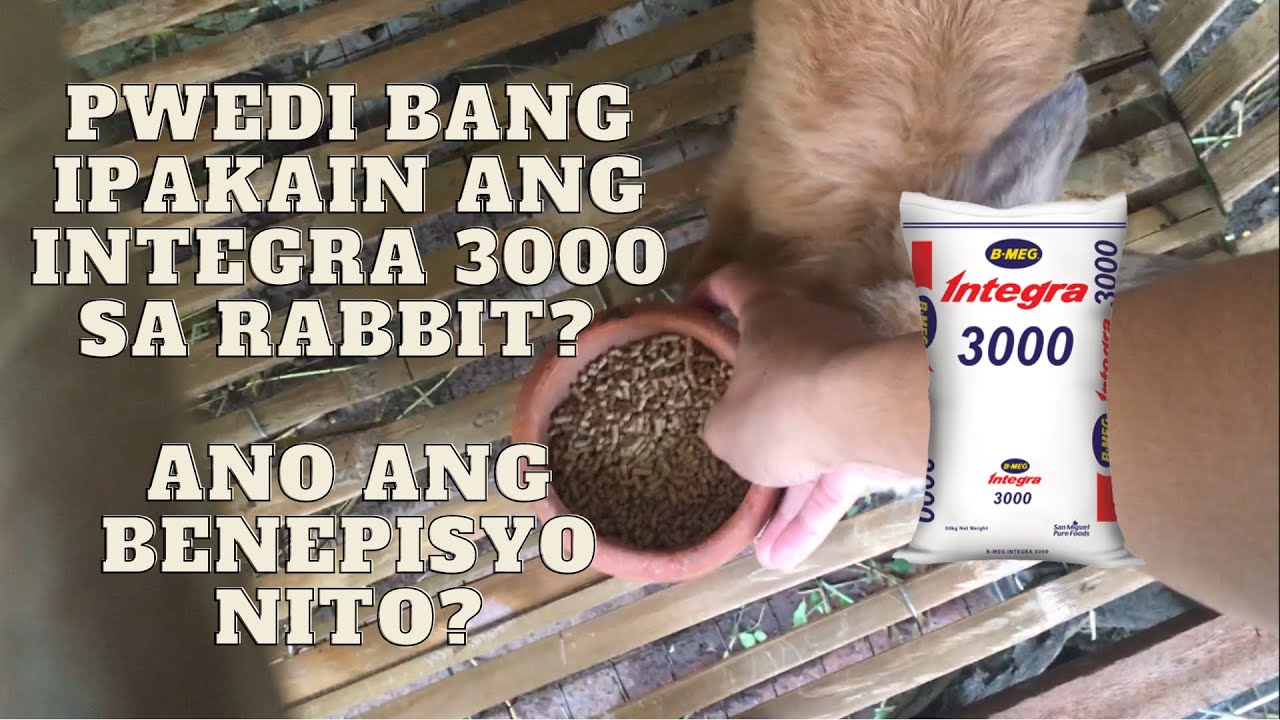 Integra 3000 para sa Rabbits | Benepisyo ng Integra 3000 - YouTube