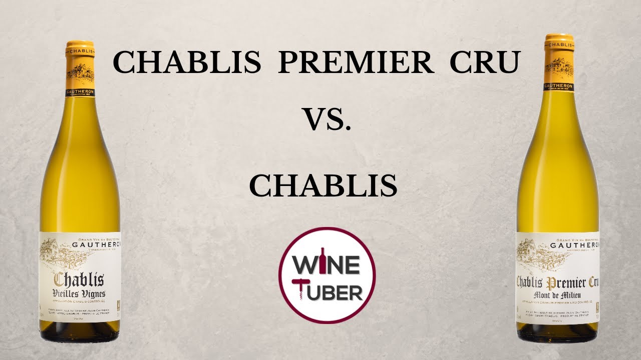 Chablis vs. Chablis Premier Cru. What is so special about Chablis wine ...