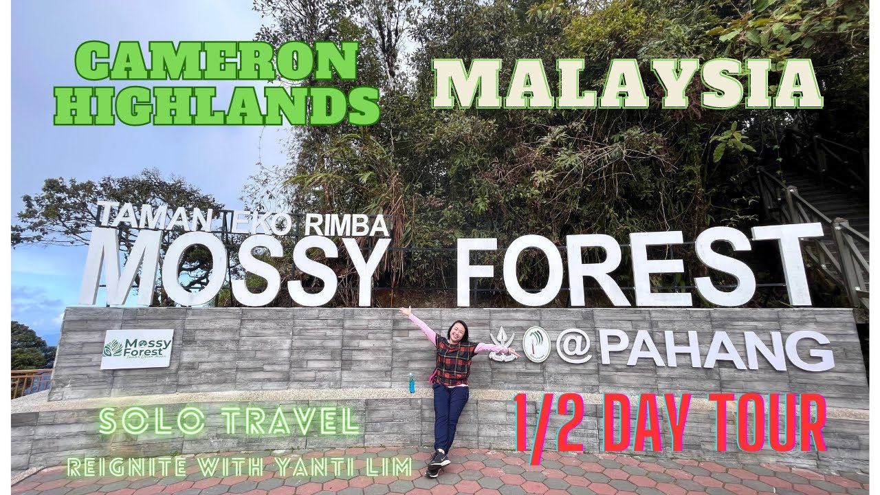 1/2 Day Tour at Cameron. Gunung Brinchang, Mossy Forest, BOH Tea ...