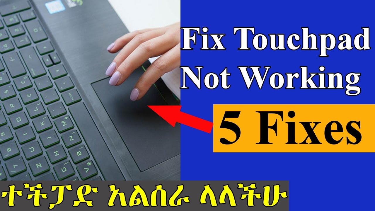 How to Fix Laptop Touchpad Problem Windows (5 Fixes) | ተችፓድ አልሰራ ላላችሁ ...