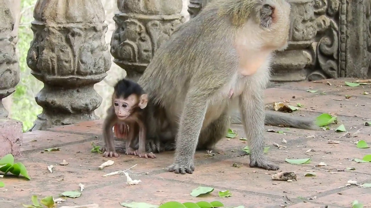 Baby Martin - YouTube