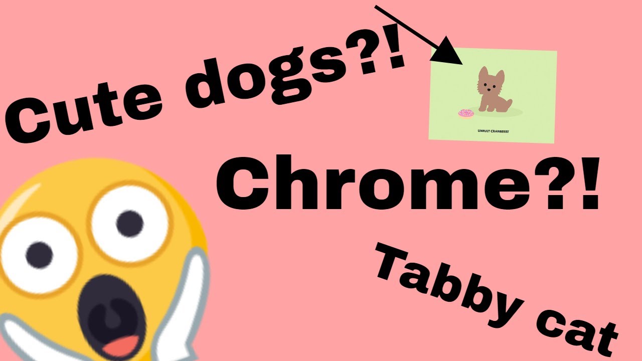 HOW TO GET CUTE ANIMALS (CHROME WEB BROWSER) | W/ hxneyful | - YouTube