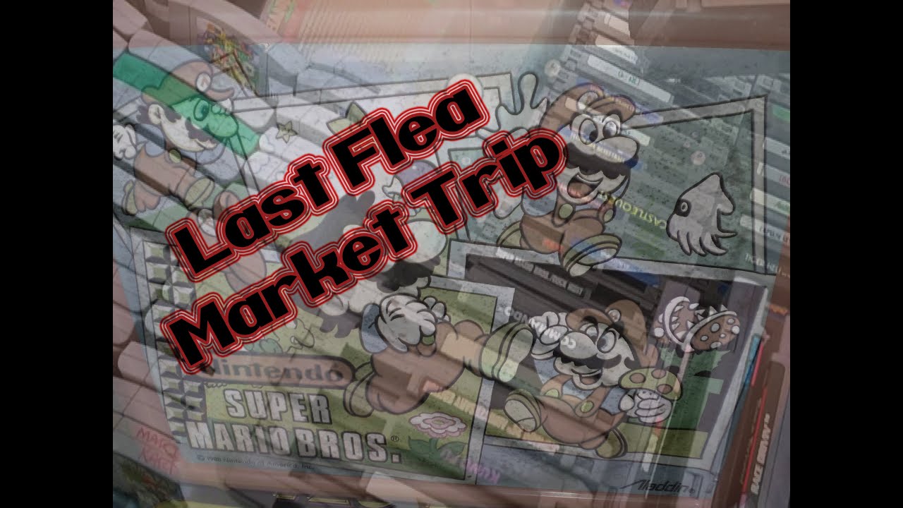 Video Gaming #98: Video Game Finds #81: Last Flea Market Trip (GCN, Wii ...