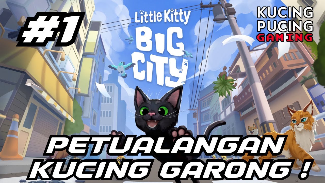 INI RASANYA JADI KUCING GARONG! - YouTube