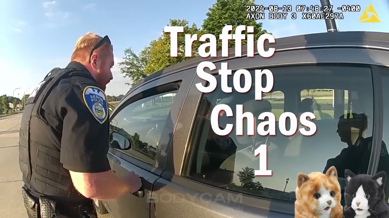 Traffic Stop Goes Crazy Police Officers Handle Business - YouTube