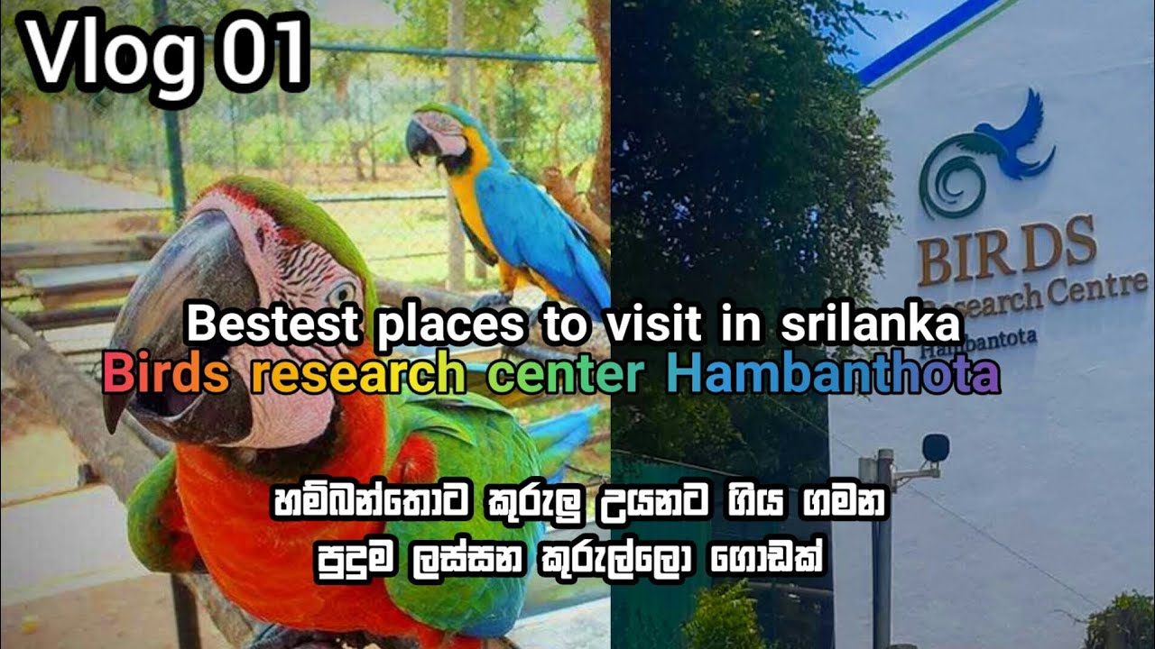 Birds Research Center Hambanthota/හම්බන්තොට කුරුලු උයනට ගිය ගමන -Vlog ...