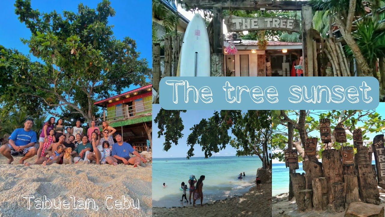 The tree sunset 2022 | Tabuelan | Holy week | Family gathering - YouTube