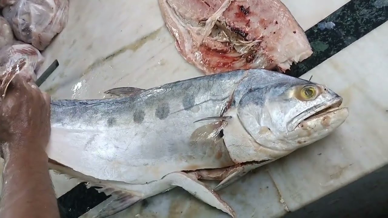 Amazing Satin Fish cutting skills| Satin Fish Cutting by expert Cutter ...