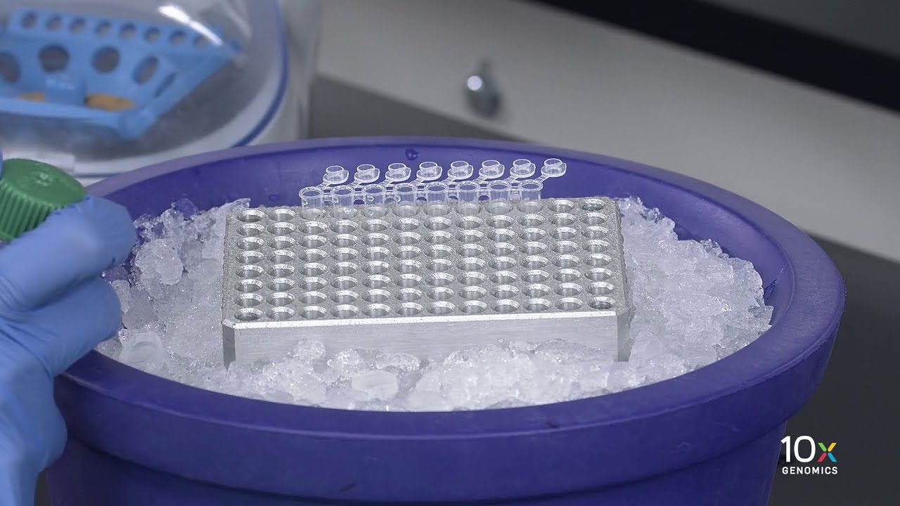 Single Cell Gene Expression Protocol v3.1 | Combining Master Mix, Water ...