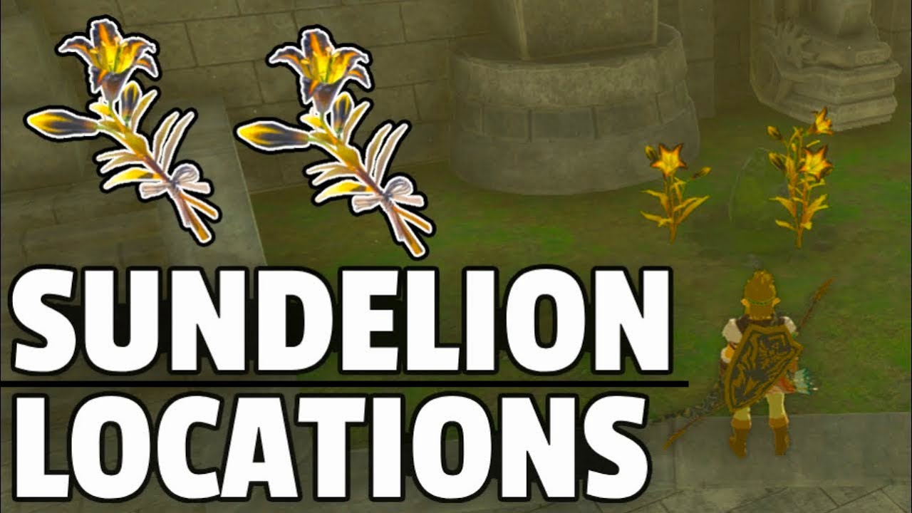 Where to find Sundelions | Zelda Tears of the Kingdom - YouTube