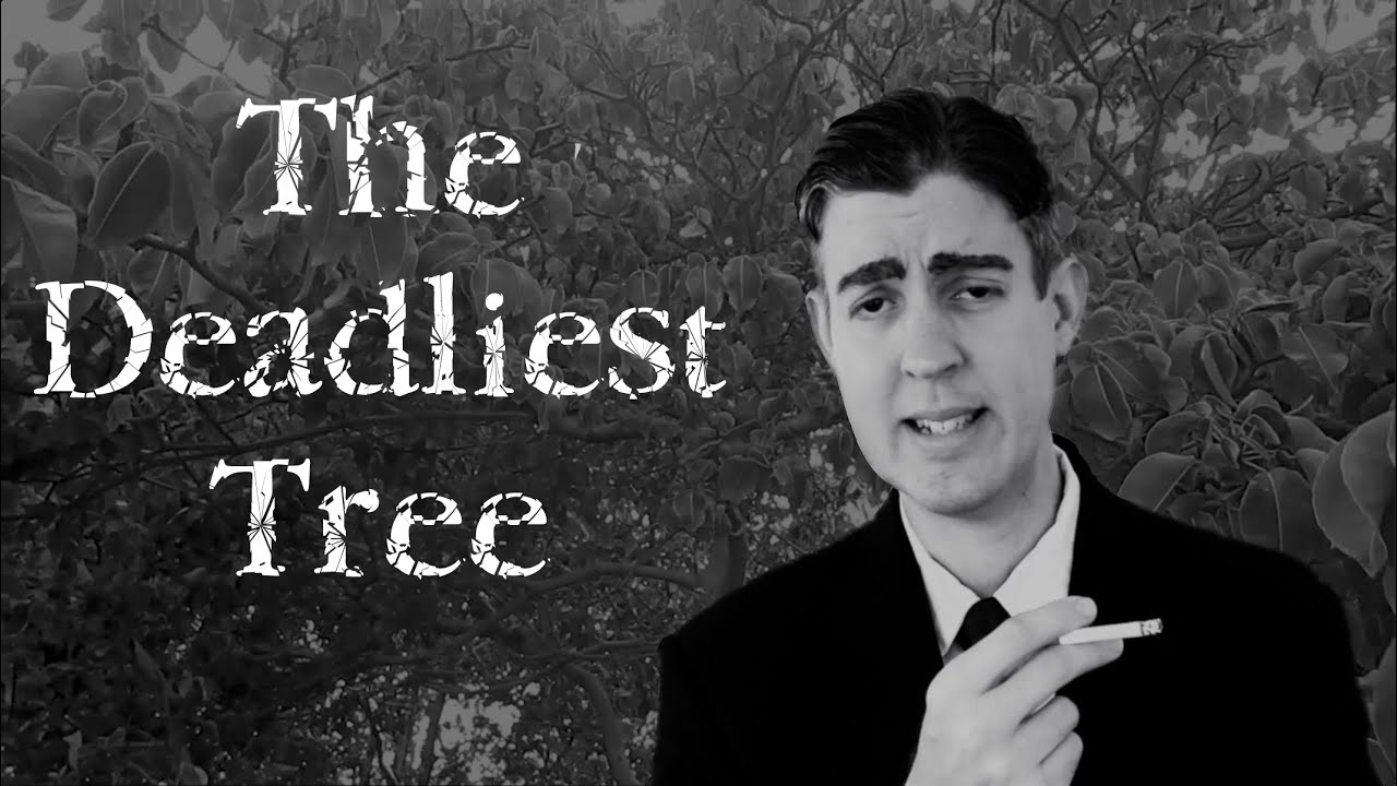 The Deadliest Tree - Manchineel! (Day 28 of 30) - YouTube