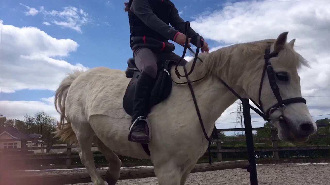 Playing ponies Summer 2019 - YouTube