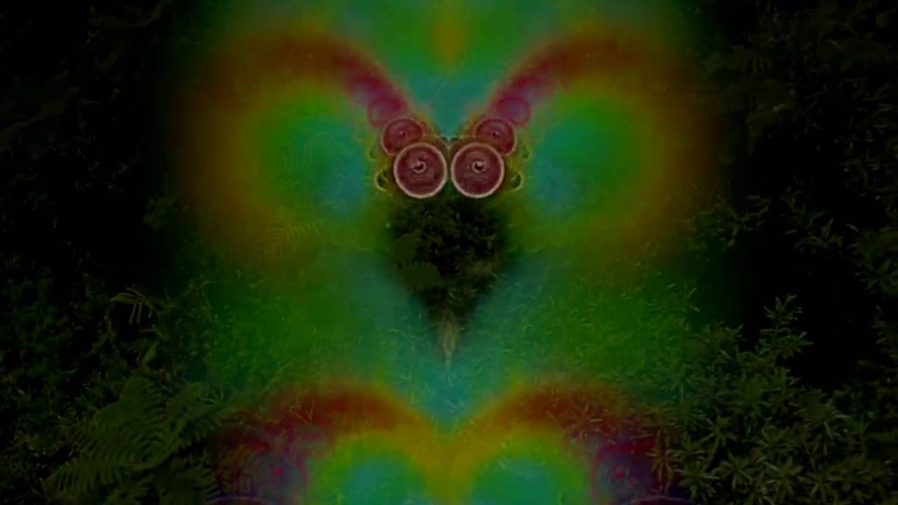 TRAILER Terence McKenna's True Hallucinations - YouTube