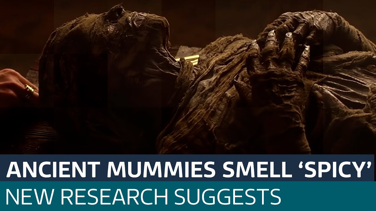 Researchers describe the surprising smell of ancient Egyptian mummies ...