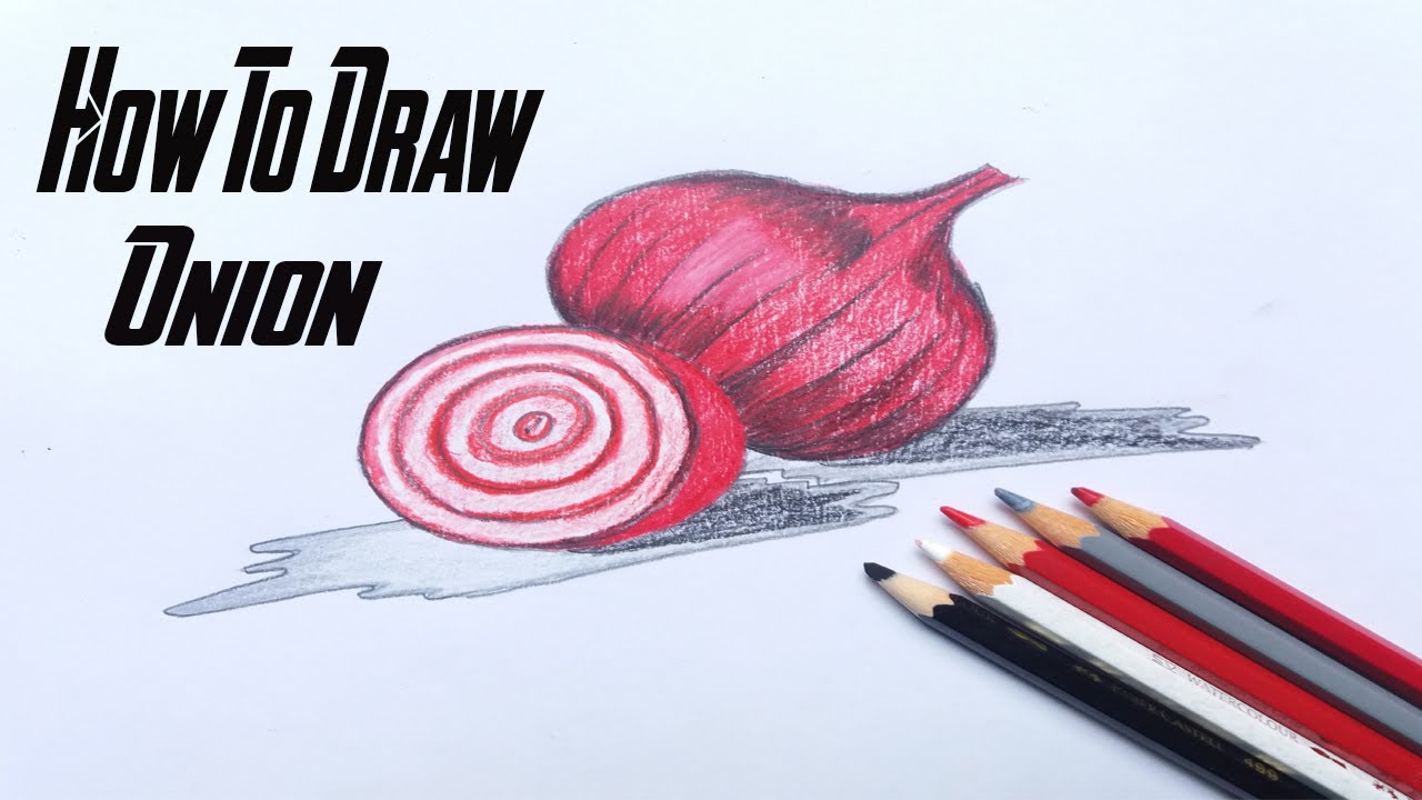 How to Draw Onion Step by Step (Very Easy) - YouTube