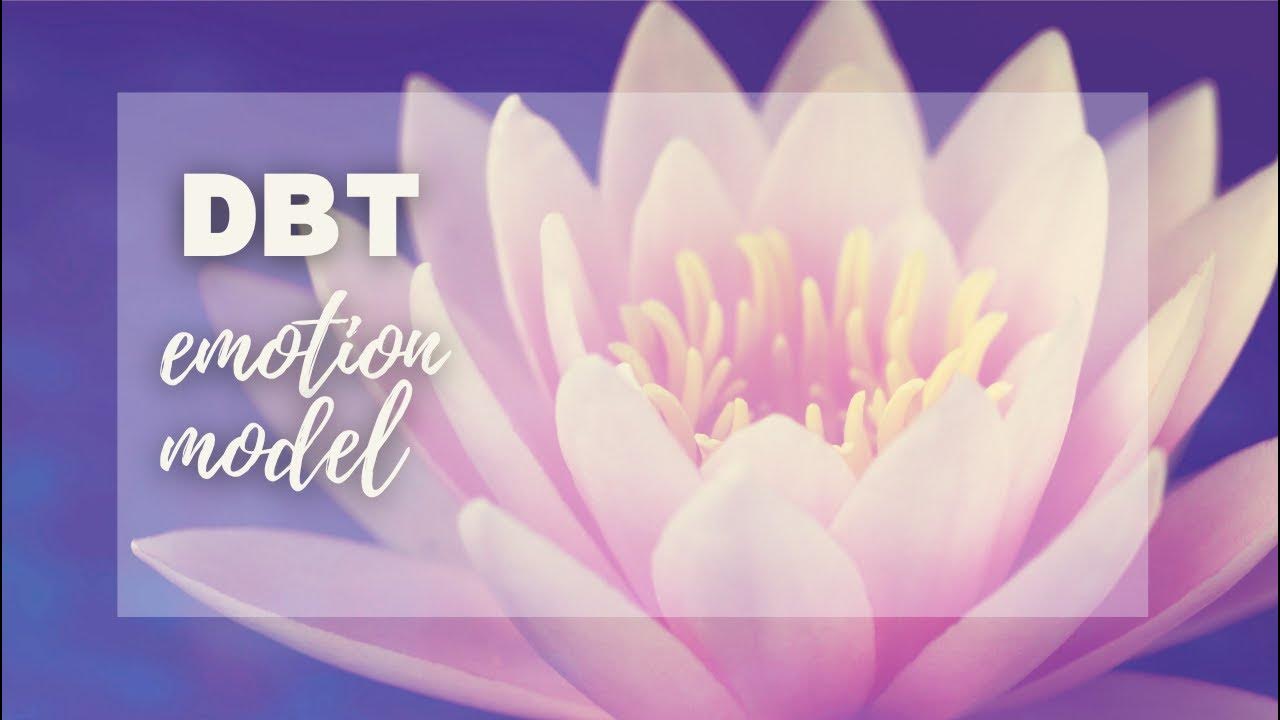 DBT Emotion MOdel - YouTube