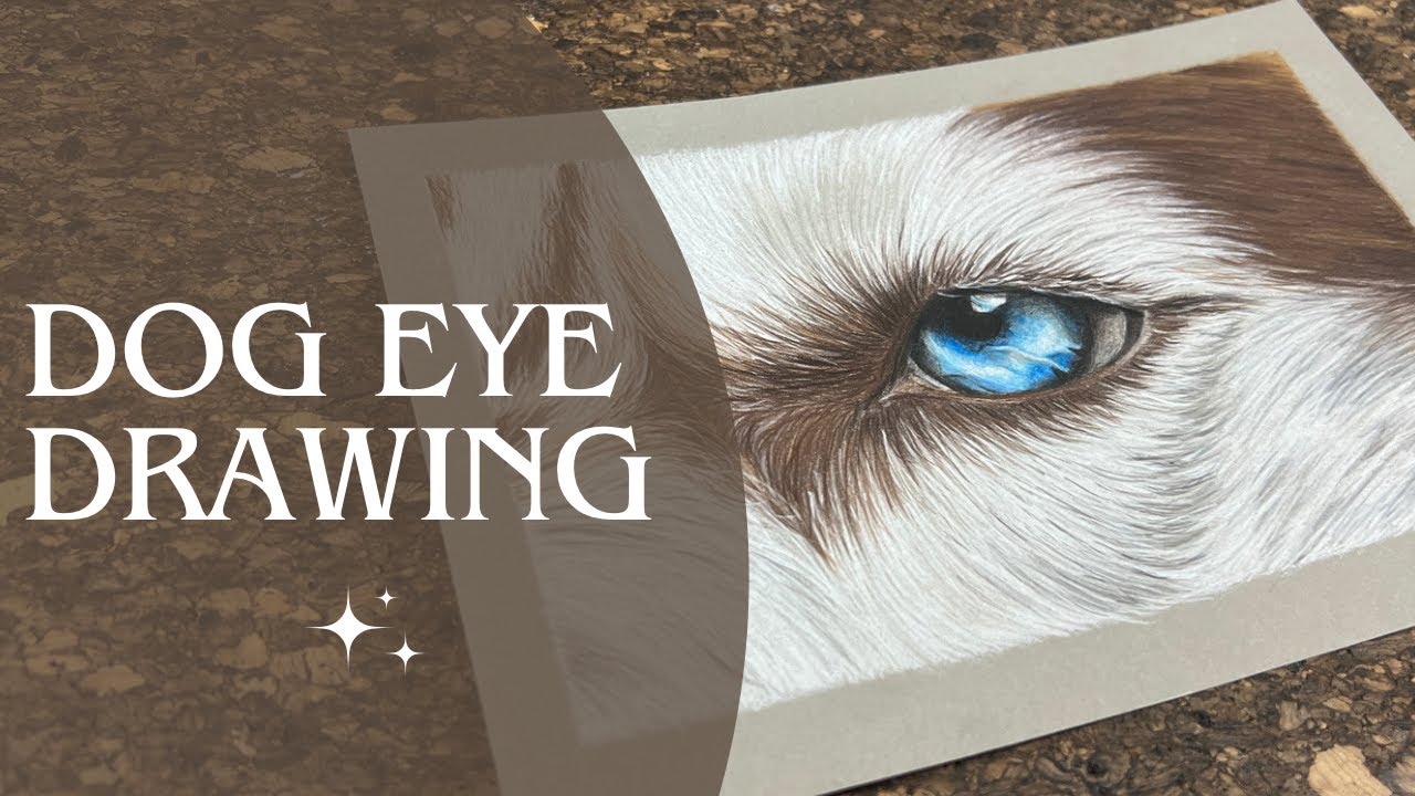 Dog eye drawing - Tutorial - deutsch - YouTube