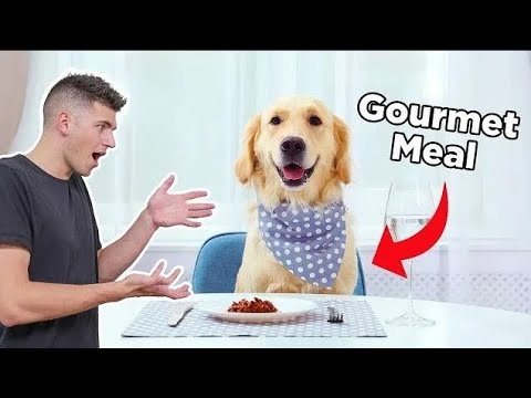 I Cooked My Dog A Gourmet 3-Course Meal - YouTube