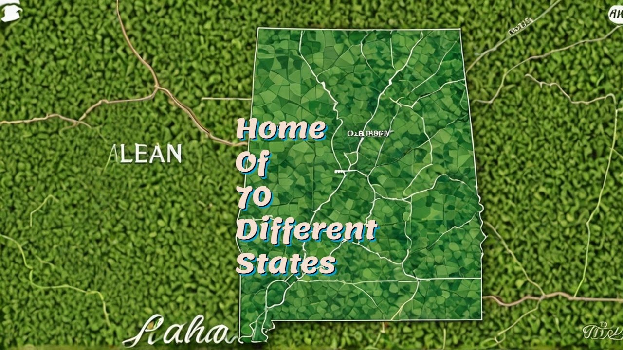 Explore AMAZING Alabama's Natural Wonders!USA Birmingham Montgomery ...