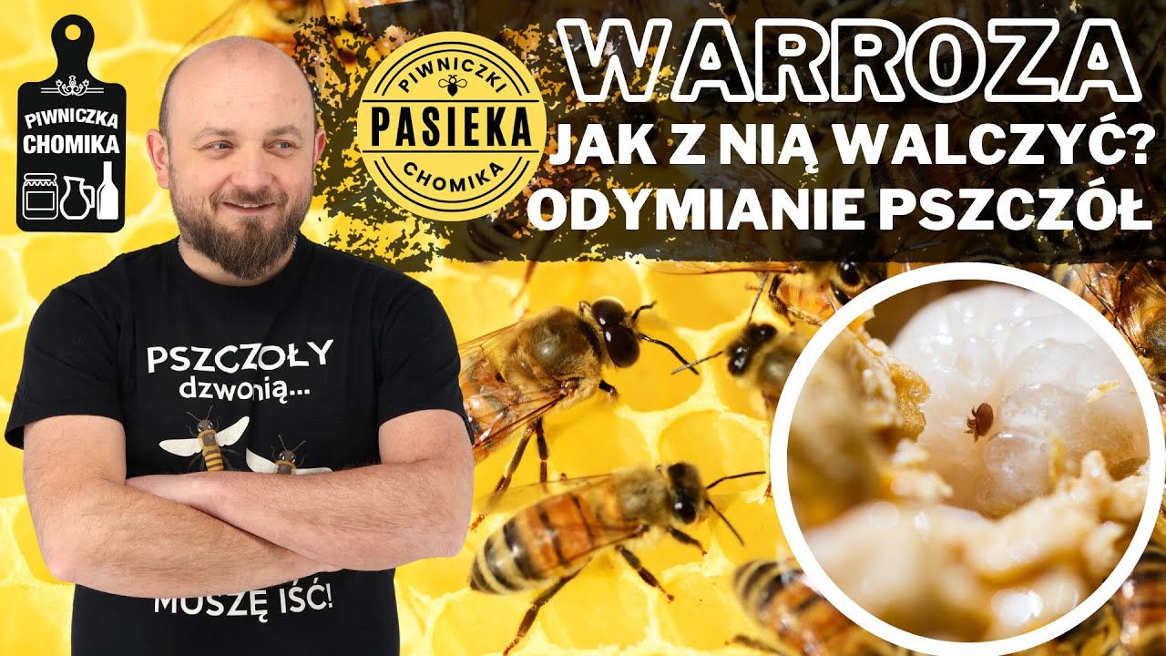 Odymianie pszczół. Warroza. Jak z nią walczyć? - YouTube