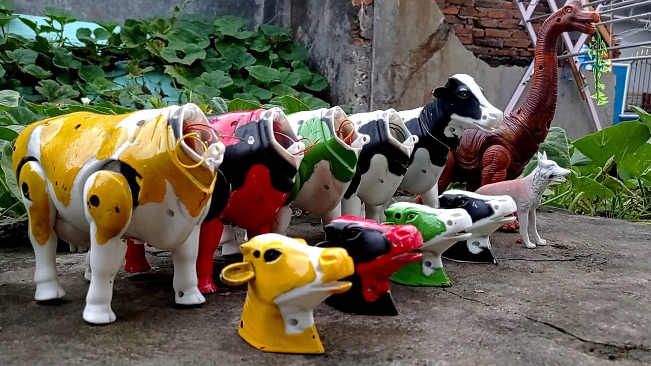 Waw ! Menemukan Dan Merakit Banyak Sapi Tanpa Kepala, Srigala putih ...