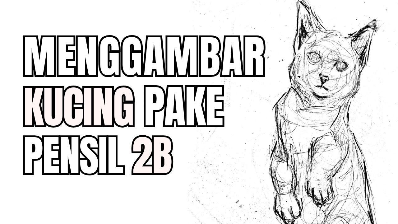 menggambar kucing pake pensil 2B | #26 - YouTube