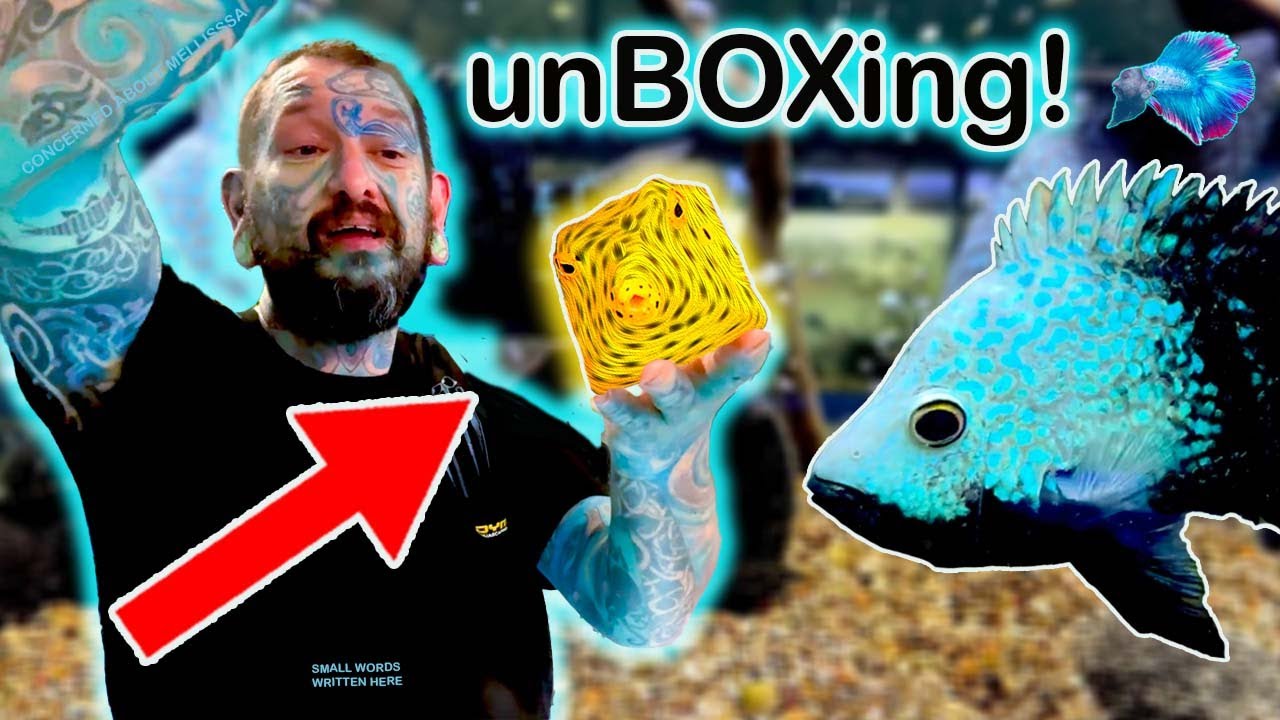 I UNBOX SUPER STRANGE AQUARIUM FISH! - YouTube