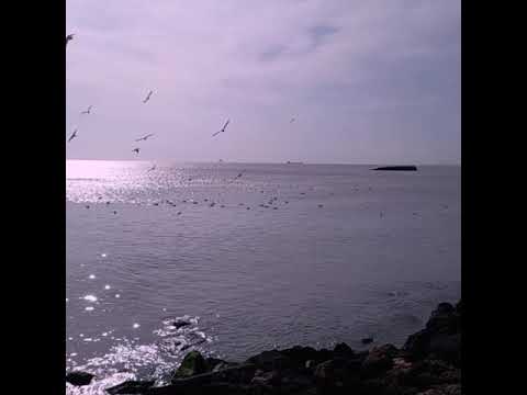 Xezer denizinden gozel menzere