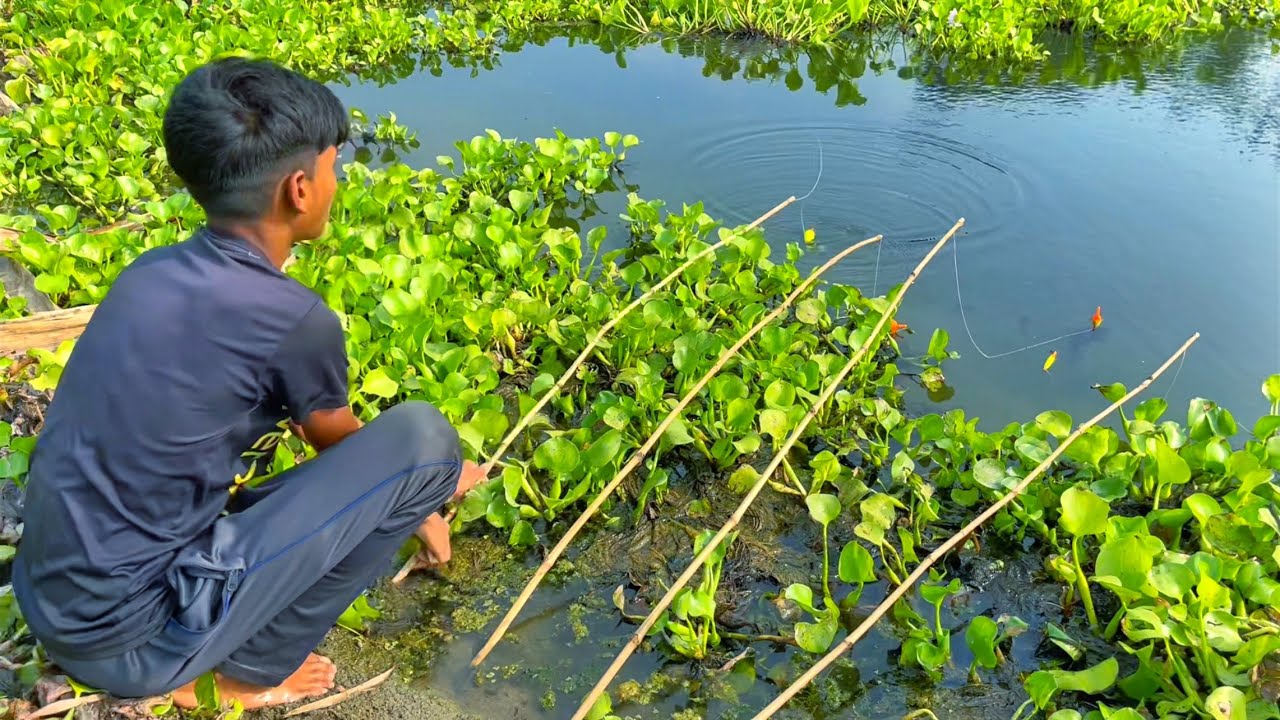 Amazing Village Boy Catching Fish With Hook in River | Fishing Video ...