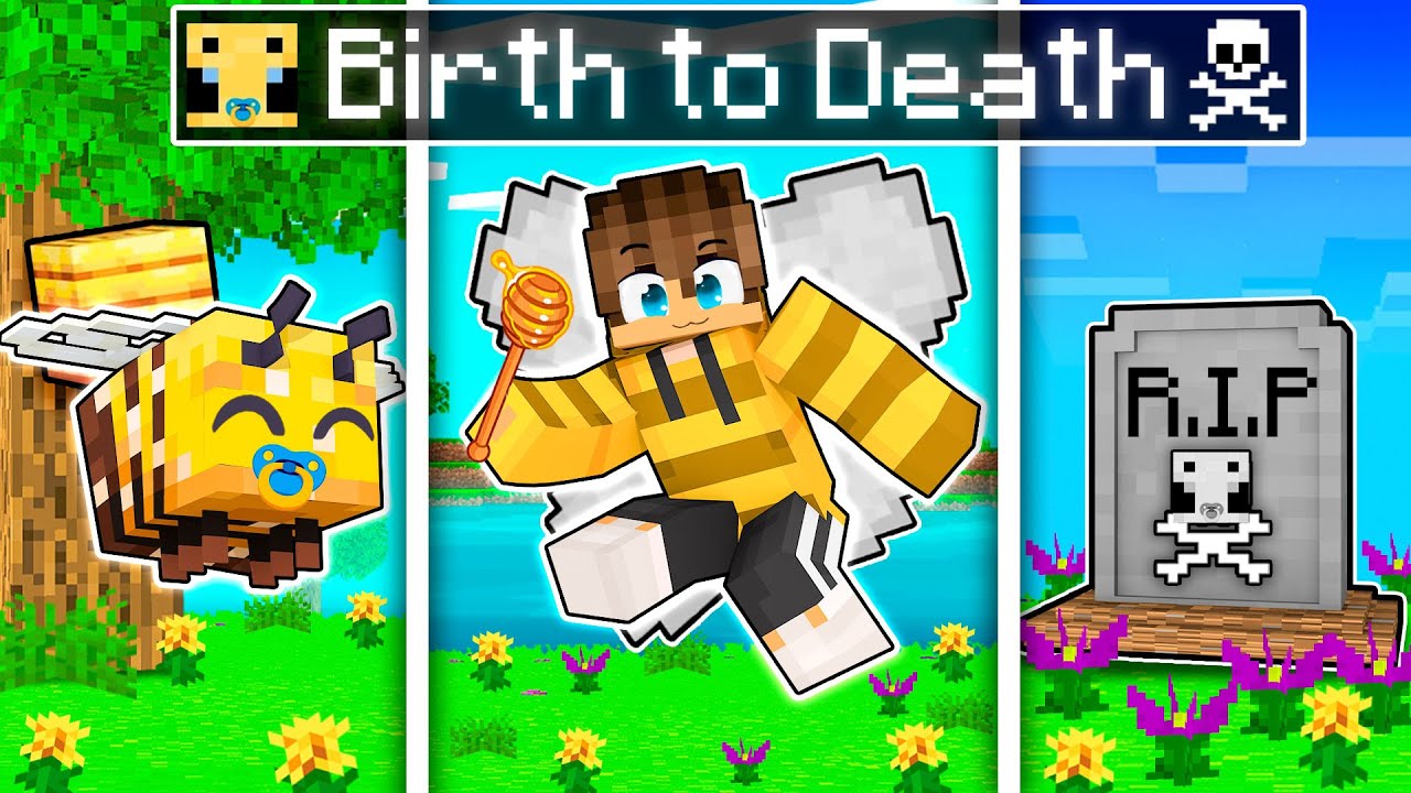 BIRTH TO DEATH Of a Bee In Minecraft! - YouTube