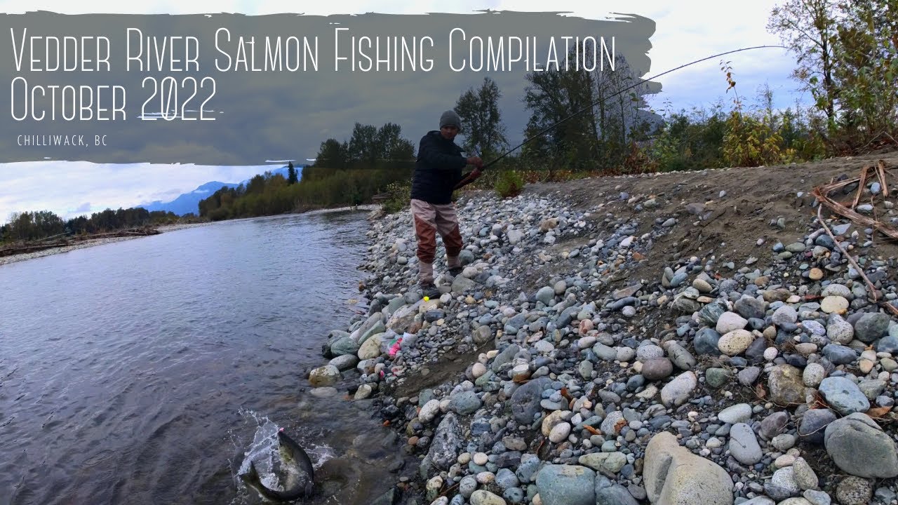 Vedder River Fishing | October 2022 - YouTube