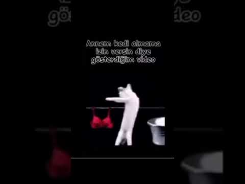 cr:Anam31838#keşfet#sessiz#blinkblackpink#keşfetbeniöneçıkar#edit#keşfetedüş#imnotcool#keşfet#keşfet