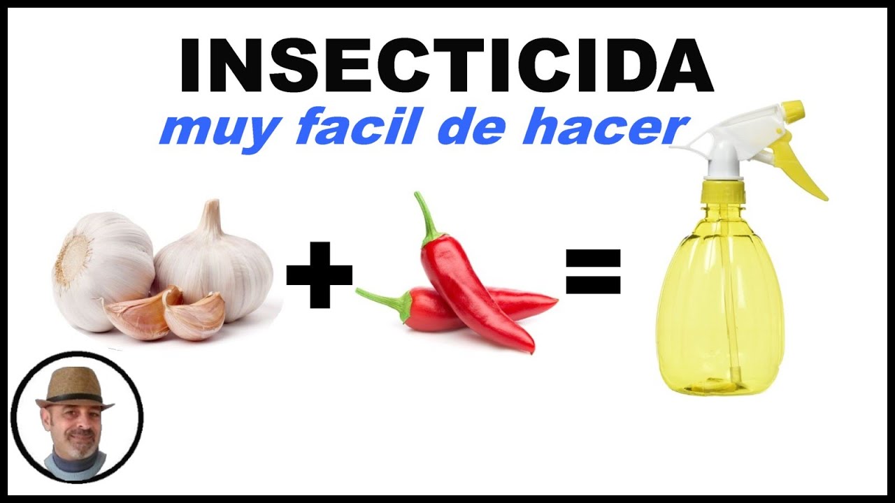 Insecticida SUPER PIMIENTO DE AJO Y CHILE - YouTube