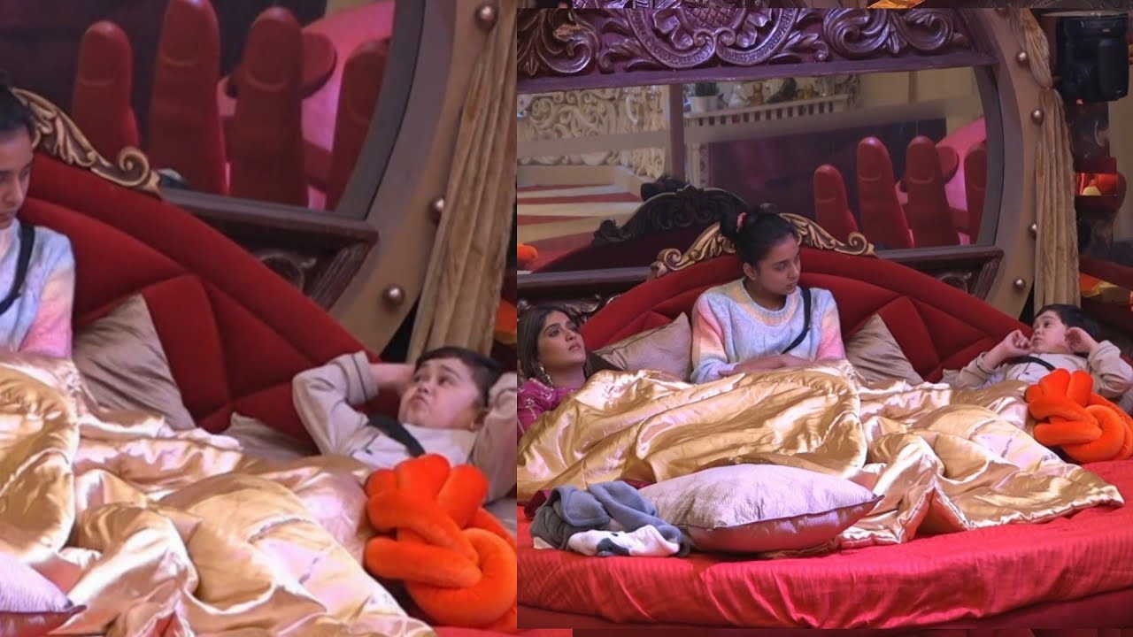 Bigg Boss 16 live feed | Abdu Sina a song for nimrit, nimrit feel ...