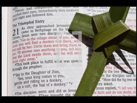 Matthew 21 1-11 Triumphal Entry (04-2-23) Pastor Greg Tyra - YouTube