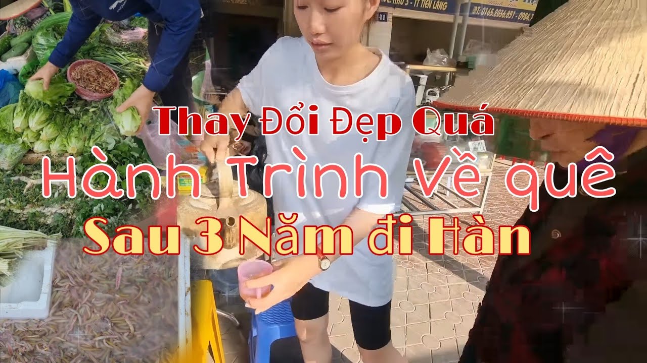 Hành Trình về thăm Nhà Sau 3 Năm đi Hàn - Review Chợ HP, vật giá Leo ...