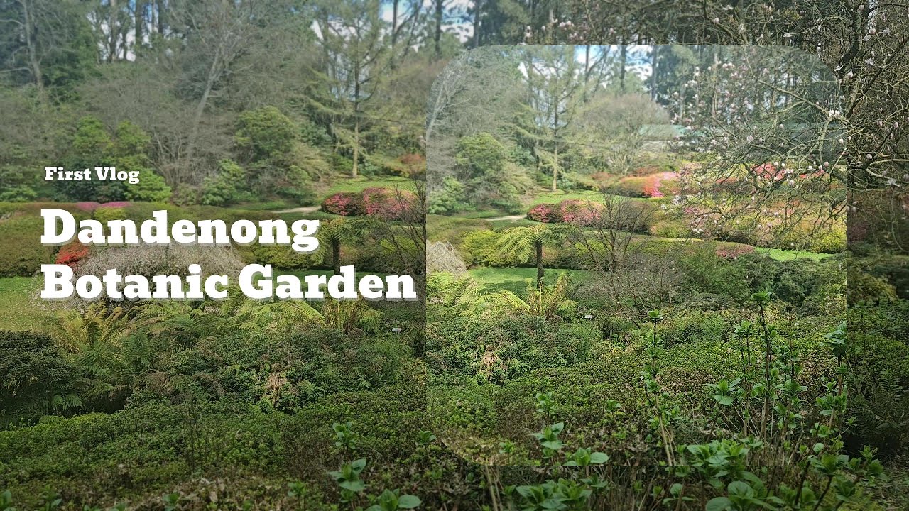 First Vlog : Dandenong Ranges Botanic Garden - YouTube