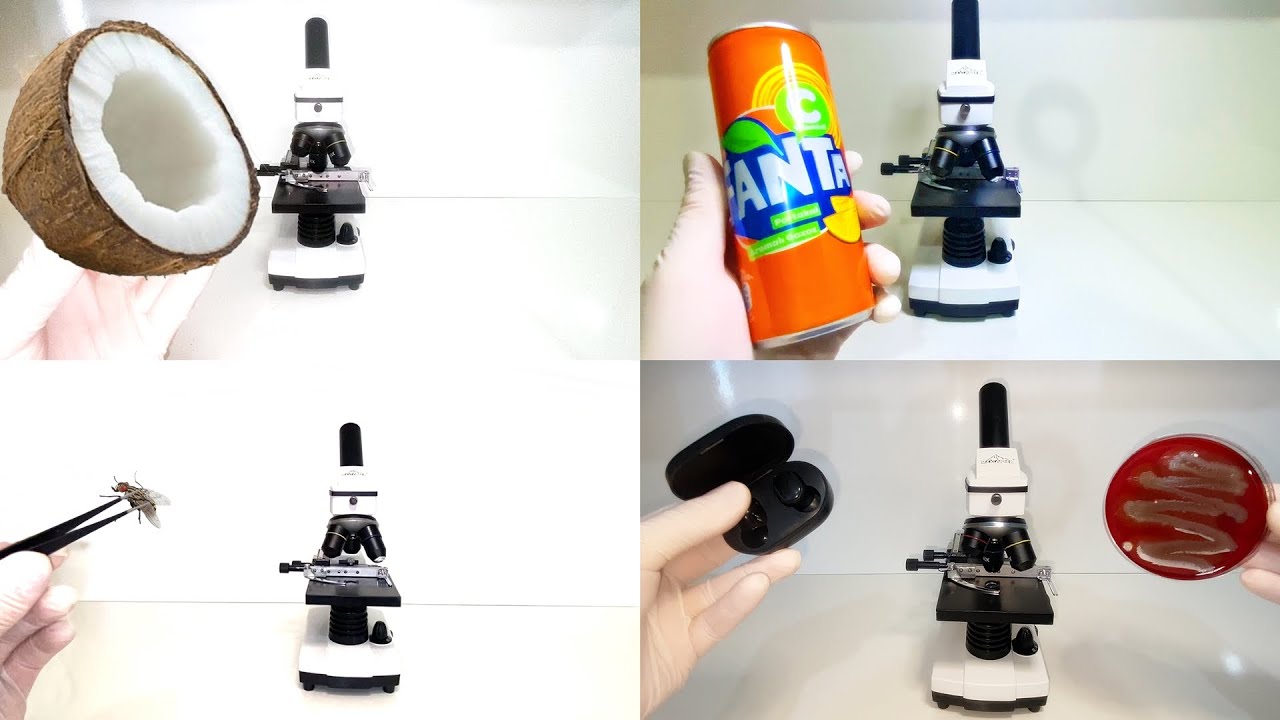 Diving into Details: Different Materials with a Microscope 🥥🧃 - YouTube