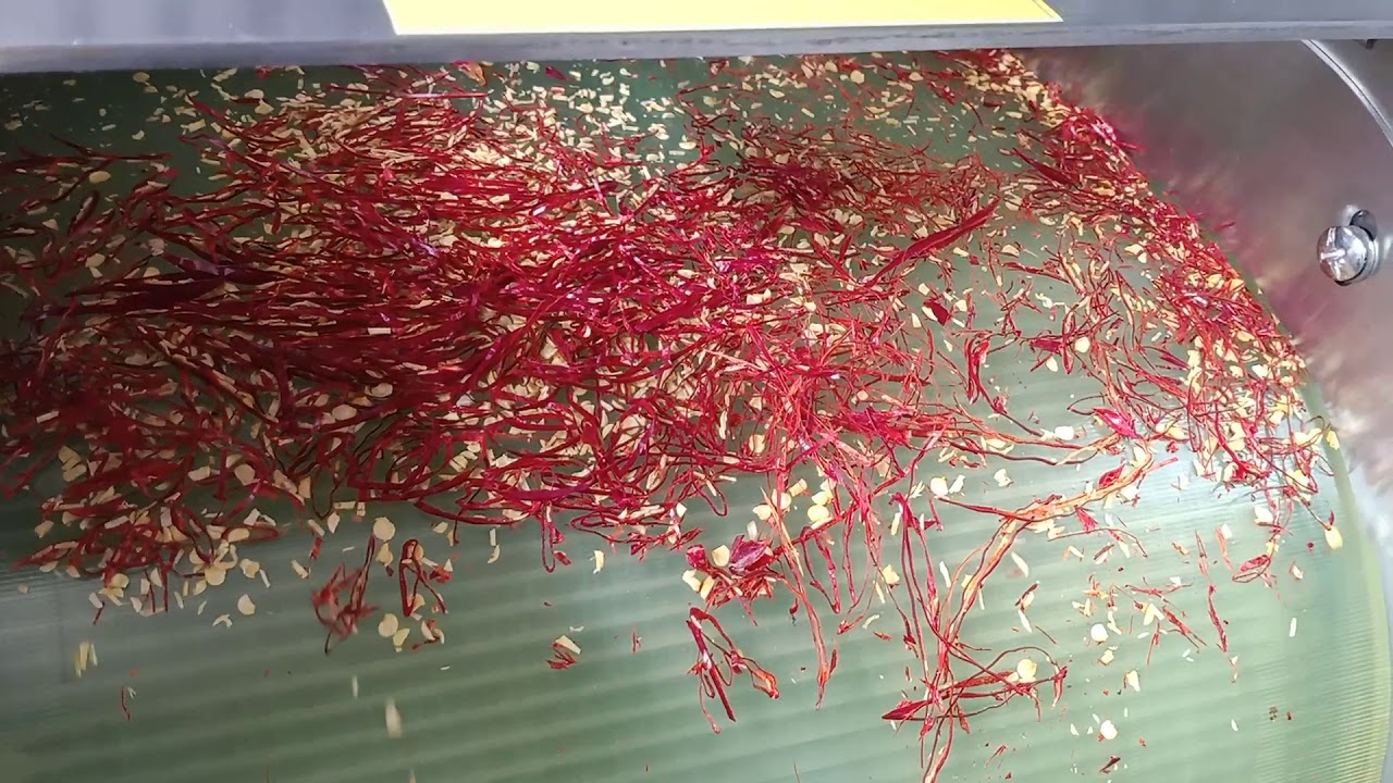 BSQY-300 Chili threads cutting into 1mm - YouTube