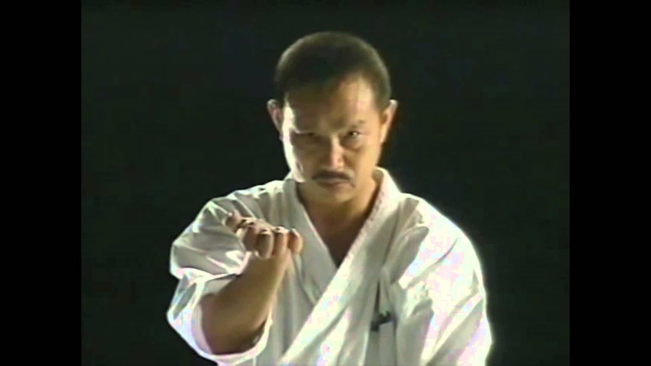 Shihan Masahiko Tanaka - Promotional video for Shotosha Copenhagen ...