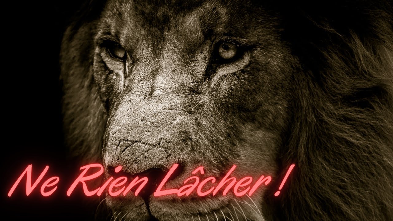 Ne Rien Lâcher ! - YouTube