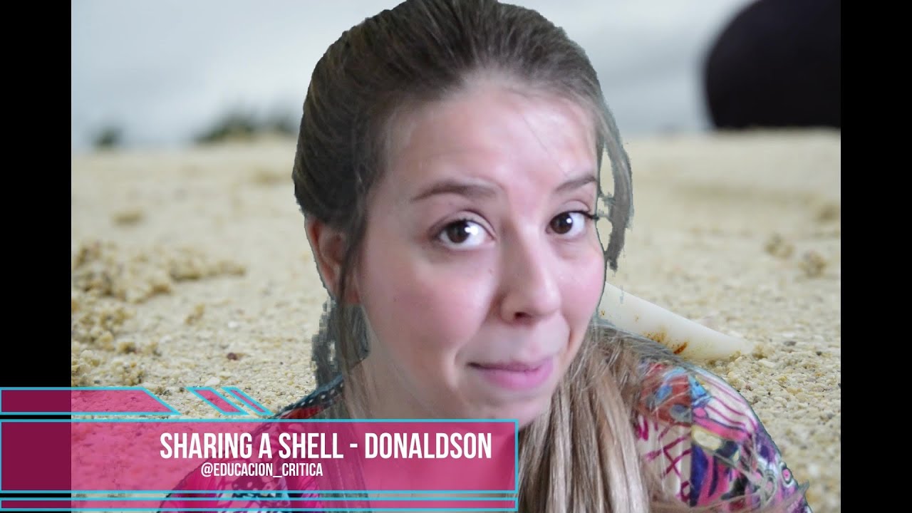 Sharing a shell- Julia Donaldson and Lydia Monks - YouTube