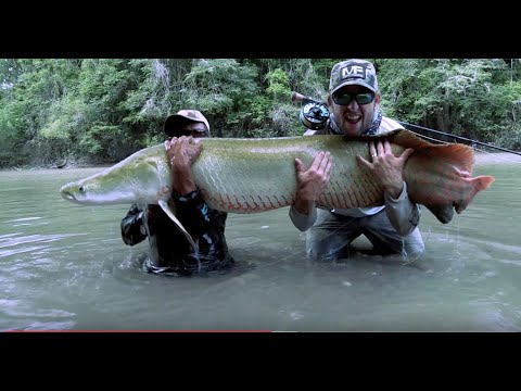 GEOBASS: PEACOCKS AND MONSTERS - REWA, GUYANA - YouTube