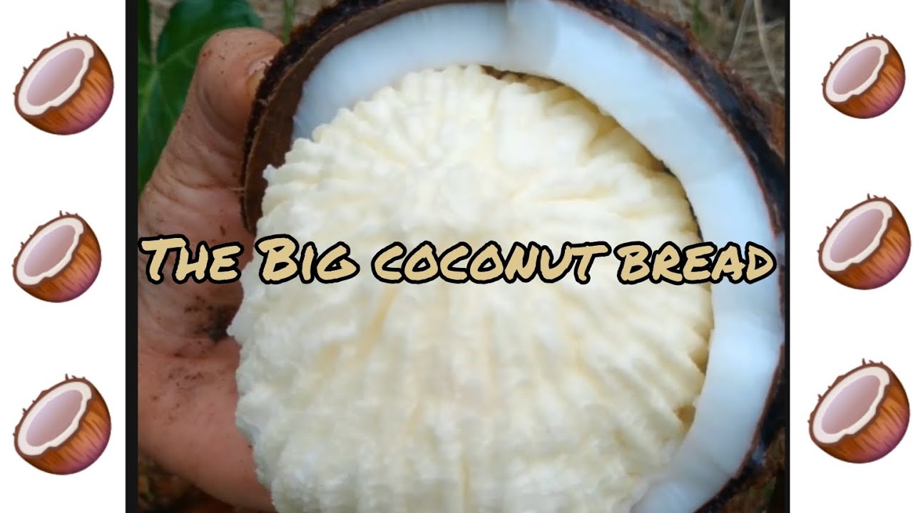 THE BIG COCONUT BREAD🥥 #trending #coconut #fruit #plants #asmr # ...
